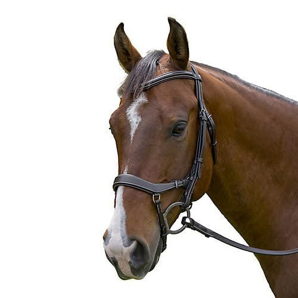 Henri de Rivel Pro Anatomical Bridle - Walmart.com