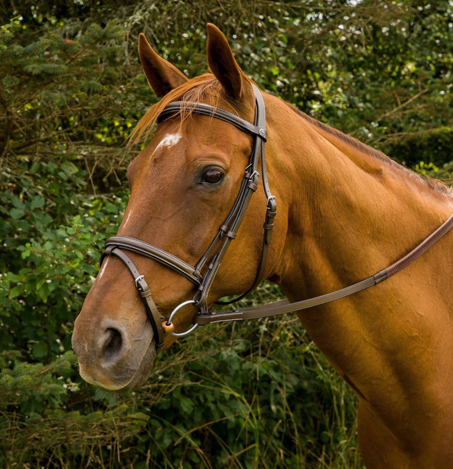 Henri de Rivel Pro Mono Crown Bridle with Flash and Rubber Reins ...