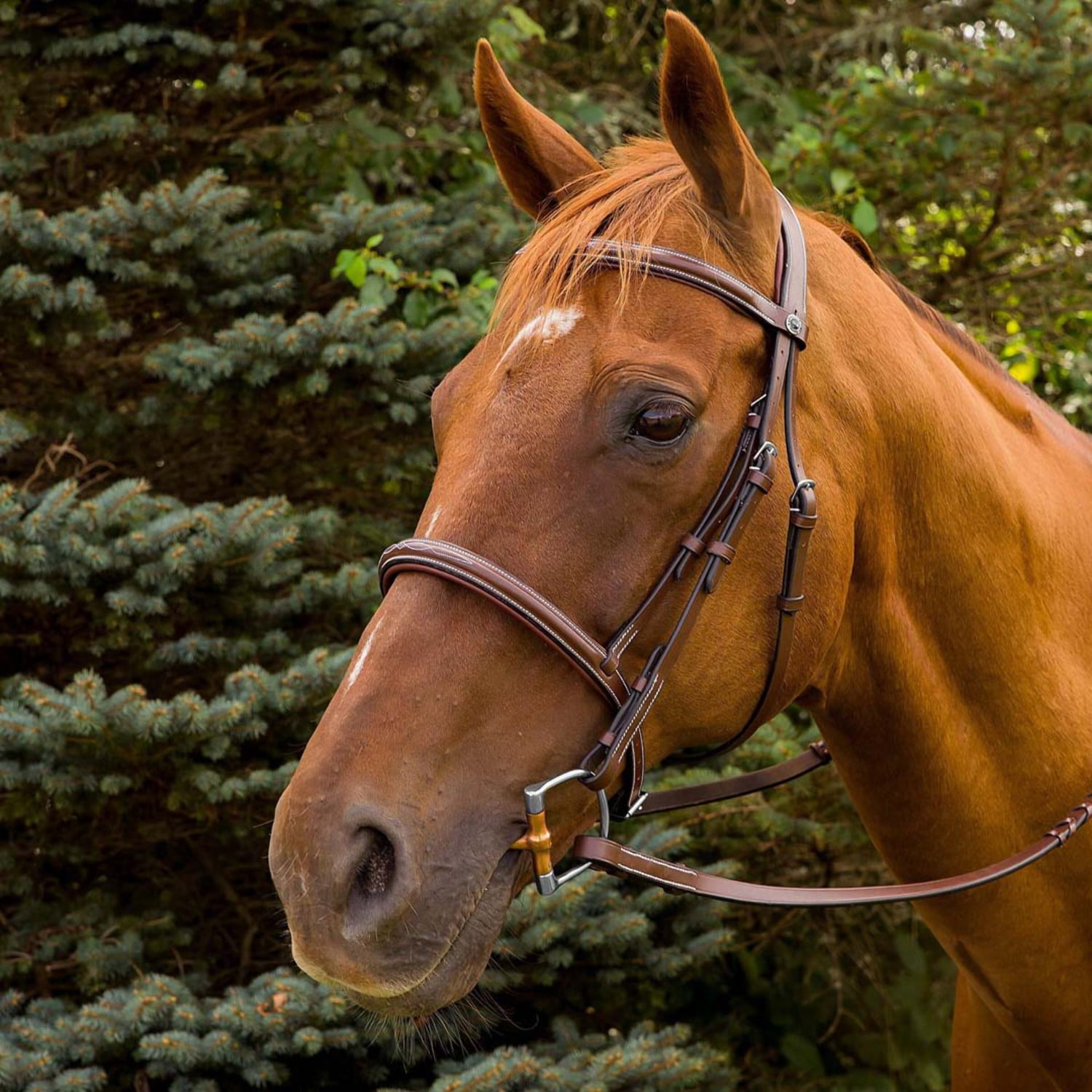 Henri de Rivel Pro Mono Crown Fancy Stitched Padded Bridle - Walmart.com