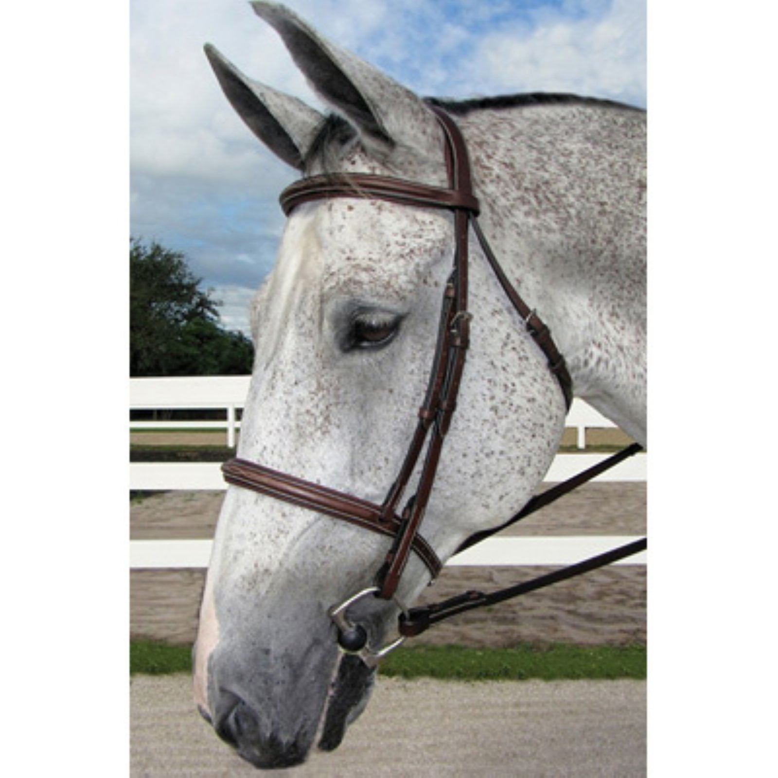 Henri de Rivel Pro Mono Crown Fancy Stitched Padded Bridle - Walmart.com