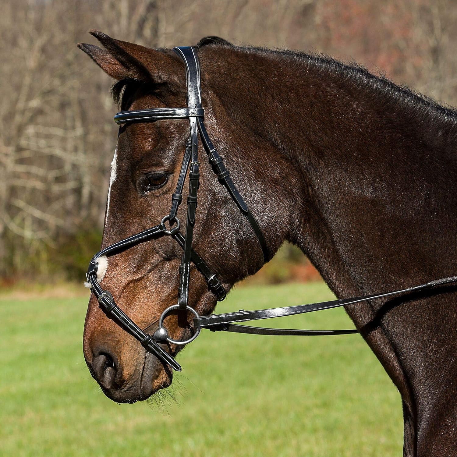 Henri de Rivel Pro Mono Crown Raised Figure Eight Bridle with Rubber ...