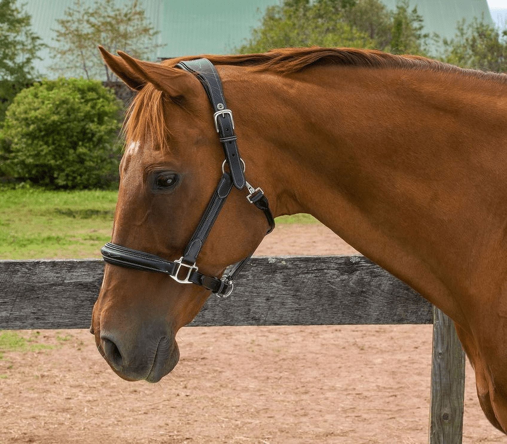 Henri de Rivel Stress Free Halter With Fancy Contrast Stitching ...