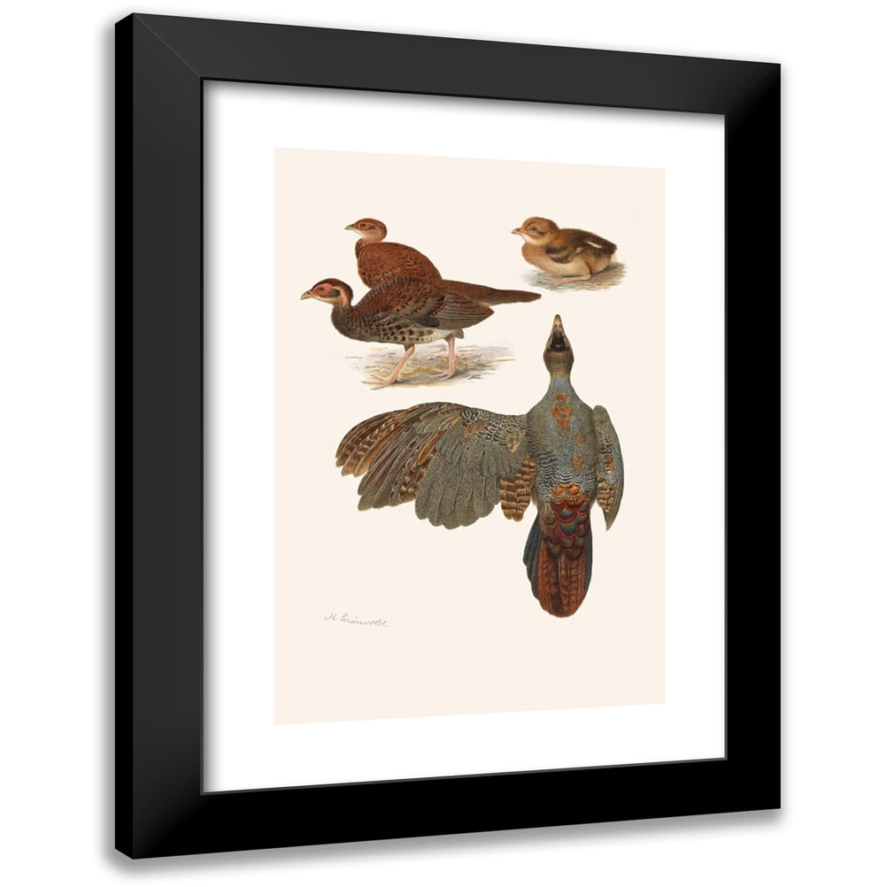 Henrik Gronvold 13x18 Black Modern Framed Museum Art Print Titled ...