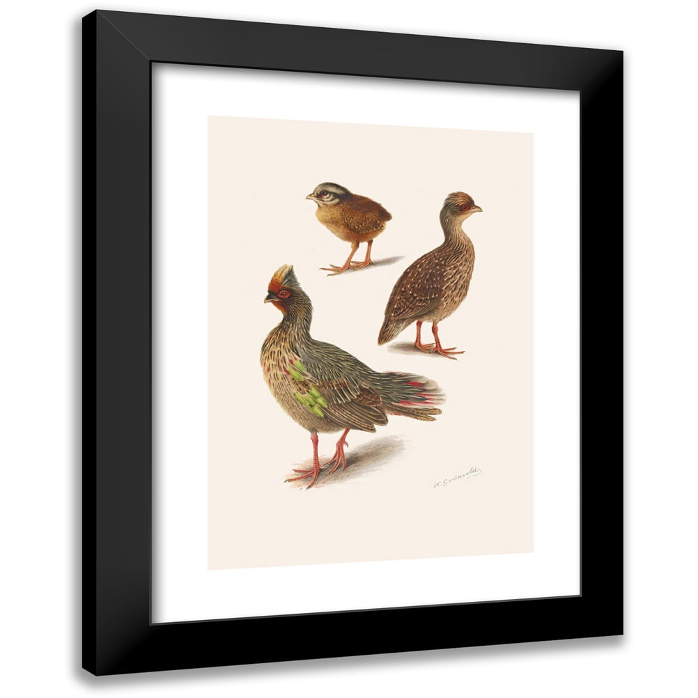 Henrik Gronvold 14x18 Black Modern Framed Museum Art Print Titled ...