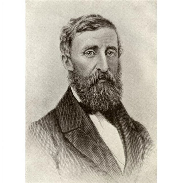 Henry David Thoreau 1817 To 1862 American Author Naturalist ...