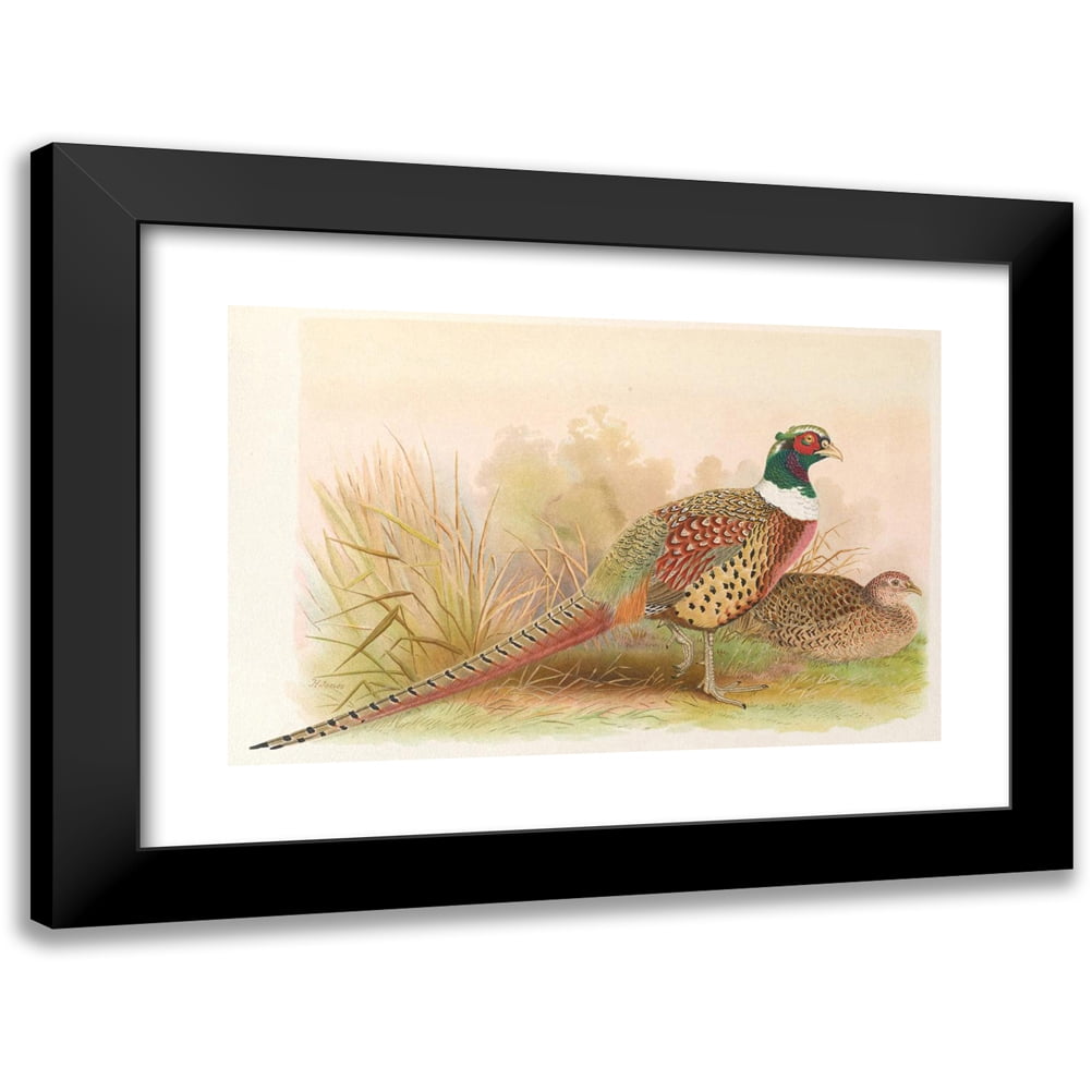 Henry Jones 18x13 Black Modern Framed Museum Art Print Titled - Kobdo ...