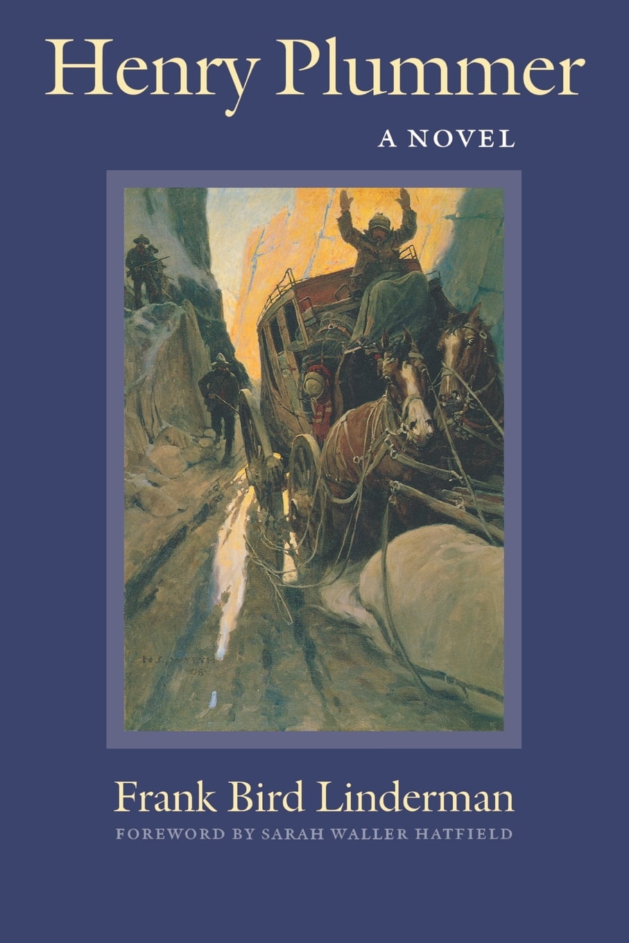 Henry Plummer : A Novel (Paperback) - Walmart.com