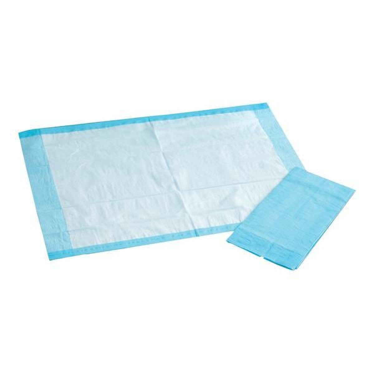 Henry Schein Underpad Unisex 30x36" Absorbent White/Blue 100/Ca ...