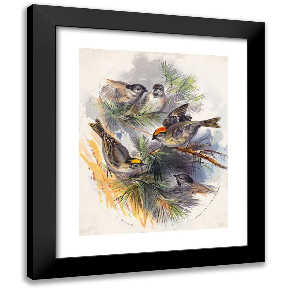 Henry Walker Herrick 12x14 Black Modern Framed Museum Art Print Titled ...
