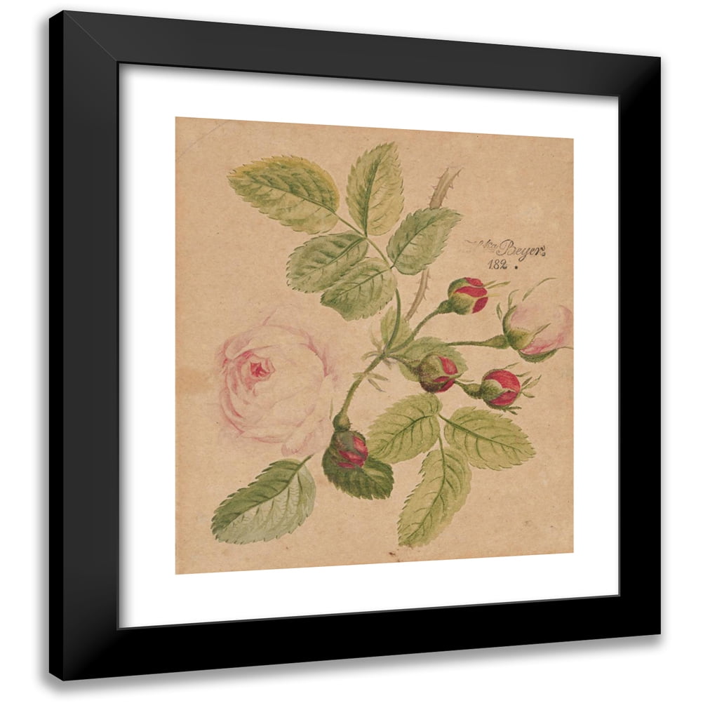 Henryka Beyer 12x14 Black Modern Framed Museum Art Print Titled - Rose ...