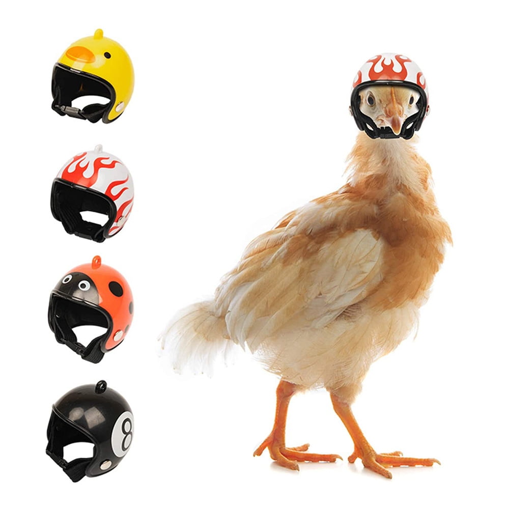 Hens Helmet Chicken Pet Safety Funny Parrot Bird Hat Headwear Small ...