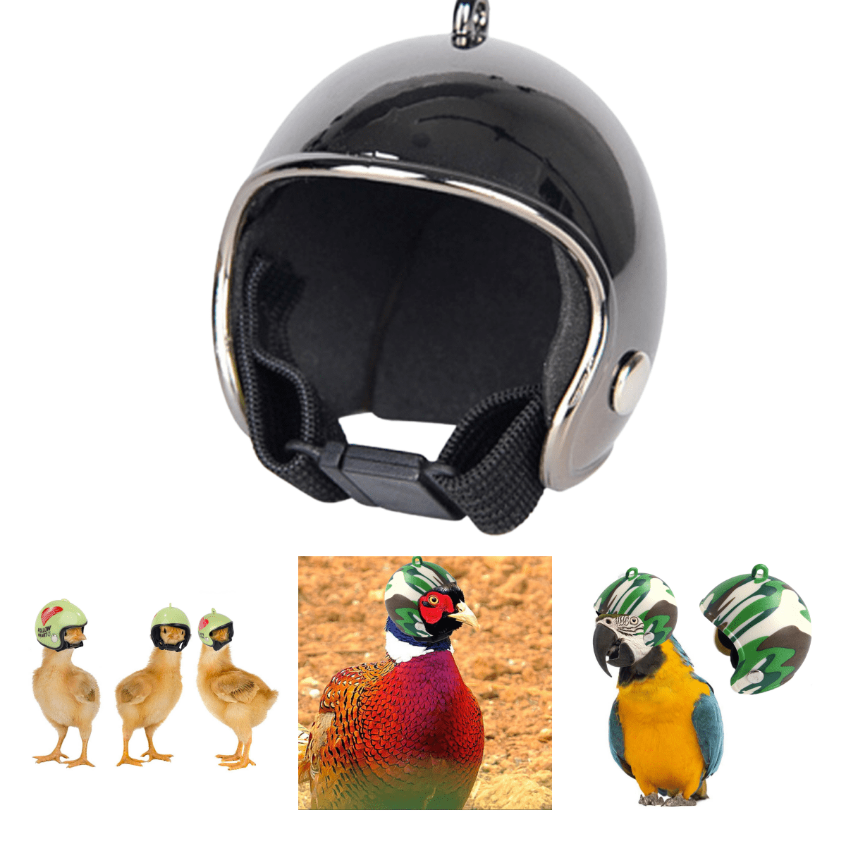 Hens Helmet Chicken Pet Safety Helmet Bird Hens Hat Headwear Adjustable ...