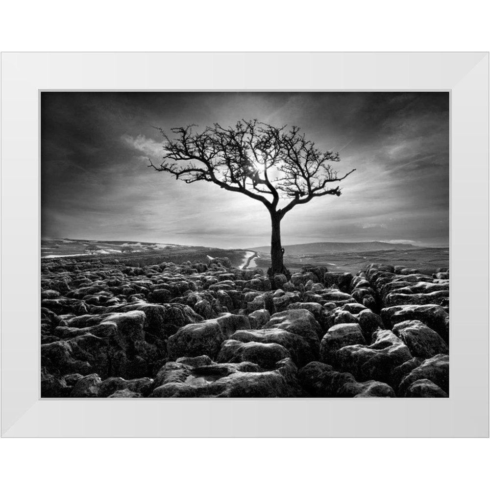 Henson, Martin 14x12 White Modern Wood Framed Museum Art Print Titled ...