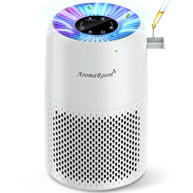 Aromaroom H13 HEPA Portable Mini Air Purifier, Dander & Smoke Remover ...