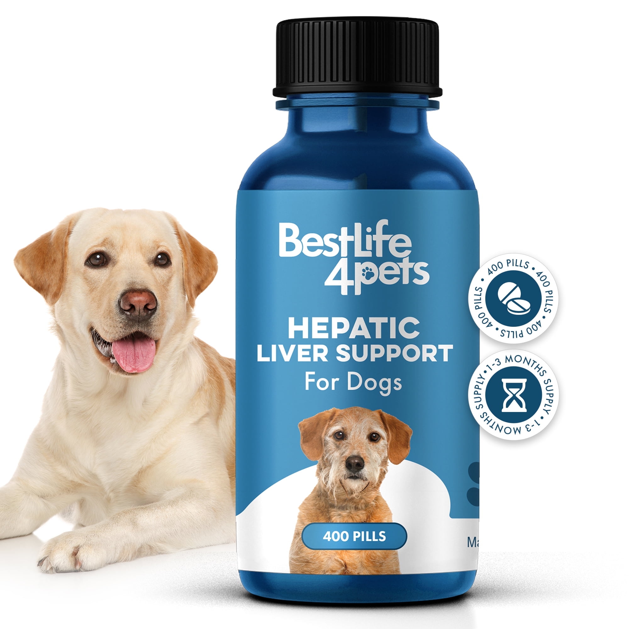 Hepatic Dog Liver Support - Digestive Canine Supplement for Liver Detox ...