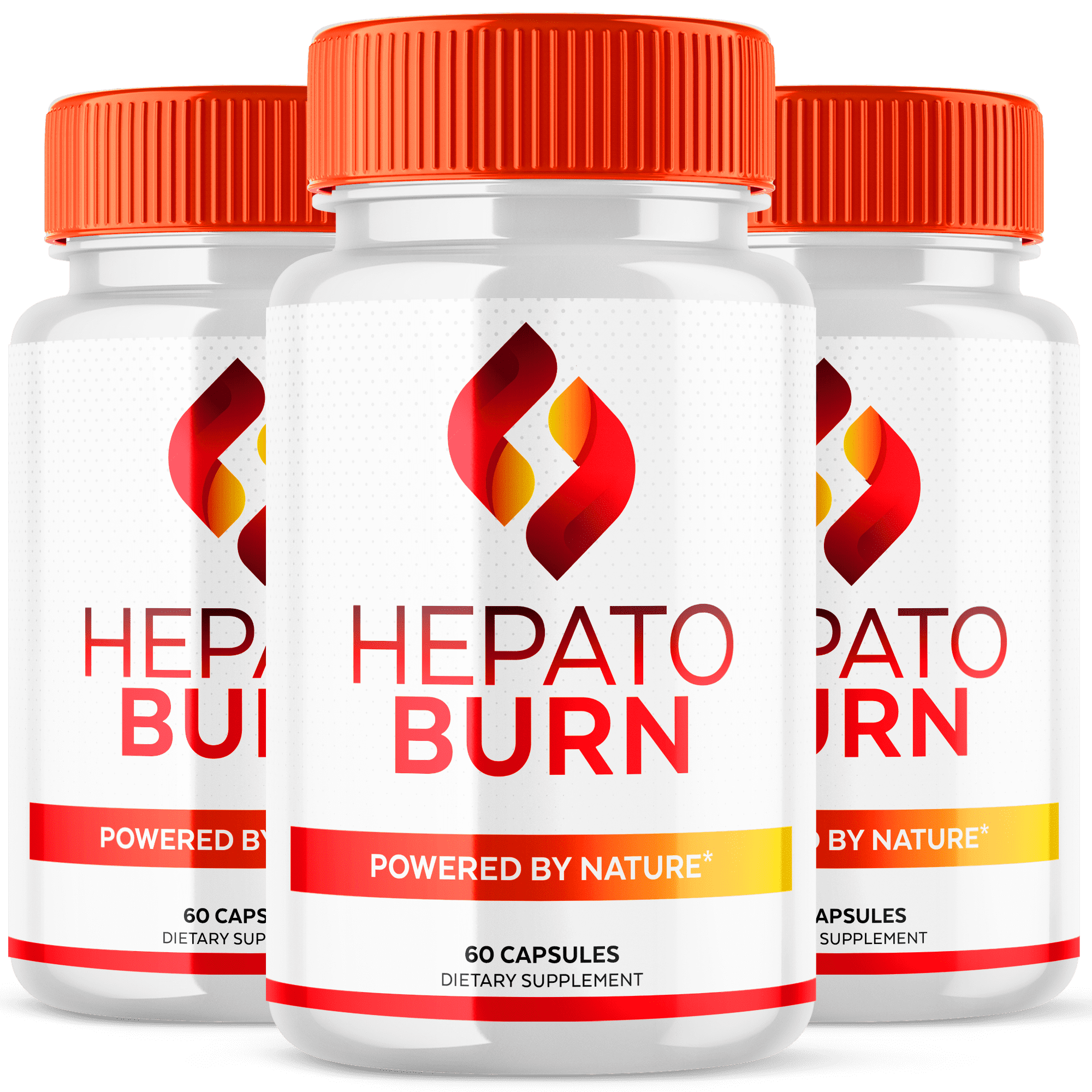 S.O LABS Hepato Burn Advanced Formula Pills for Weight Support - 180 ...