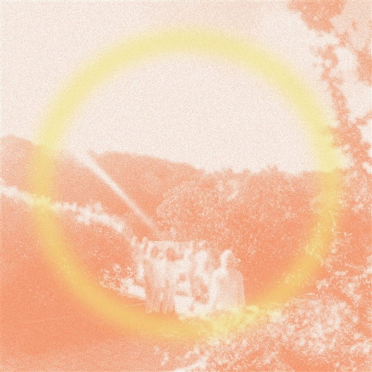 Mikko Sarvanne Garden Heraamisen Valkea Myrsky (Vinyl Record) - Walmart.com