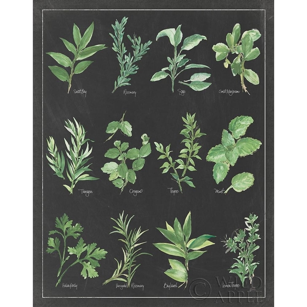 Herb Chart on Black White Border Poster Print by Chris Paschke ...