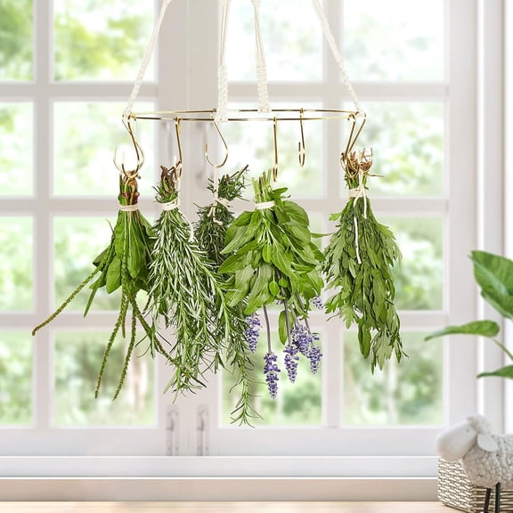 Herb Drying Racks for Home Use Keep Herbs Fresh and Easily Dry Them