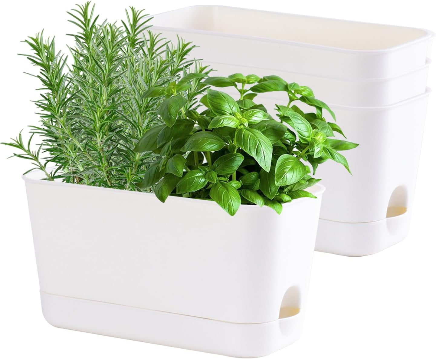 Herb Garden Planter Indoor Kit Self Watering Pots for Indoor/Outdoor ...