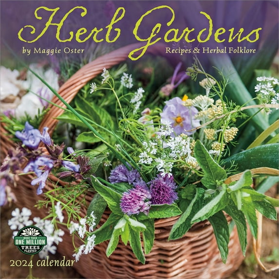 Herb Gardens 2024 Wall Calendar: Recipes & Herbal Folklore by Maggie ...