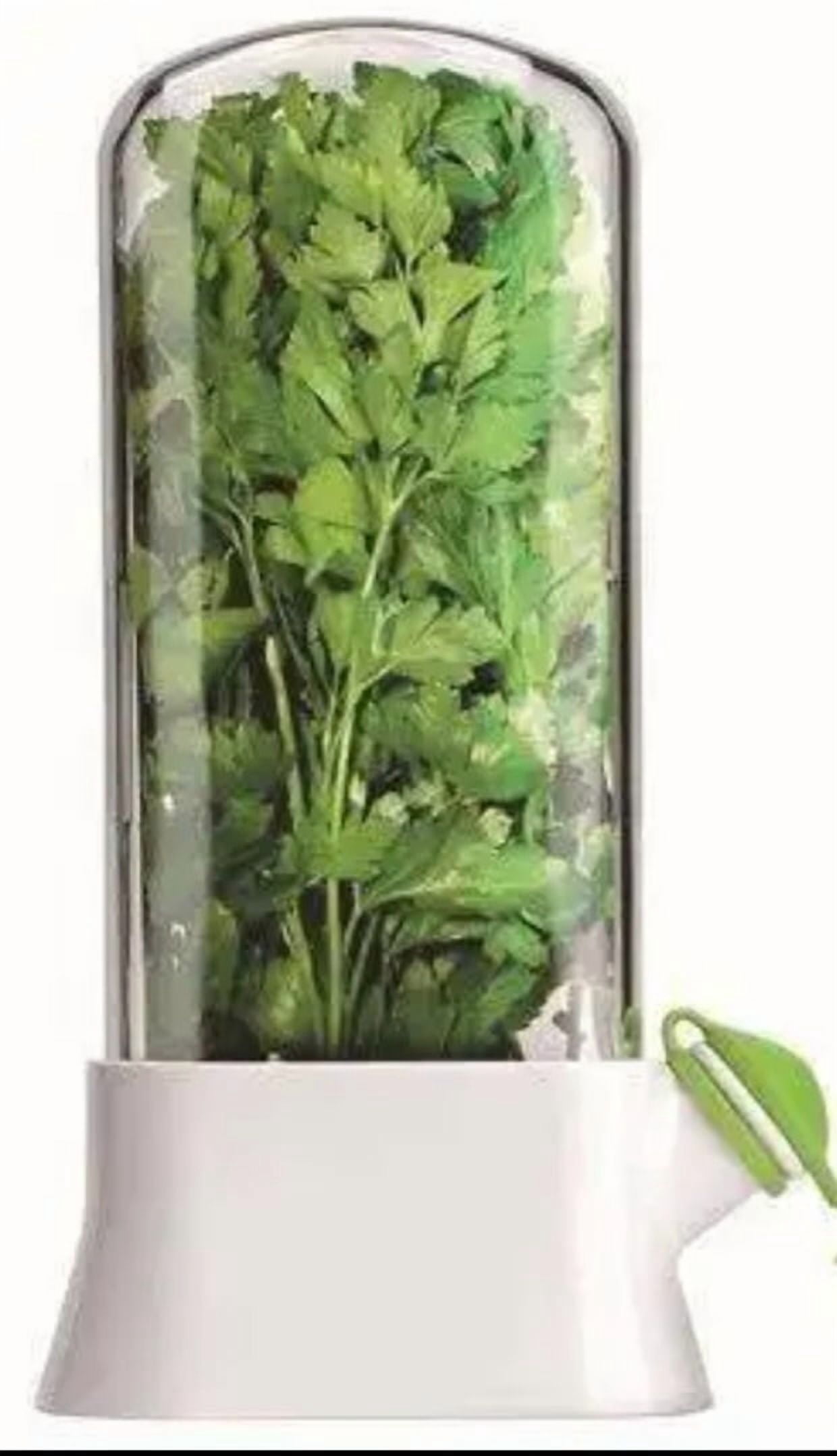Herb Keeper for Refrigerator - Premium Herb Saver, Prolong Freshness of ...