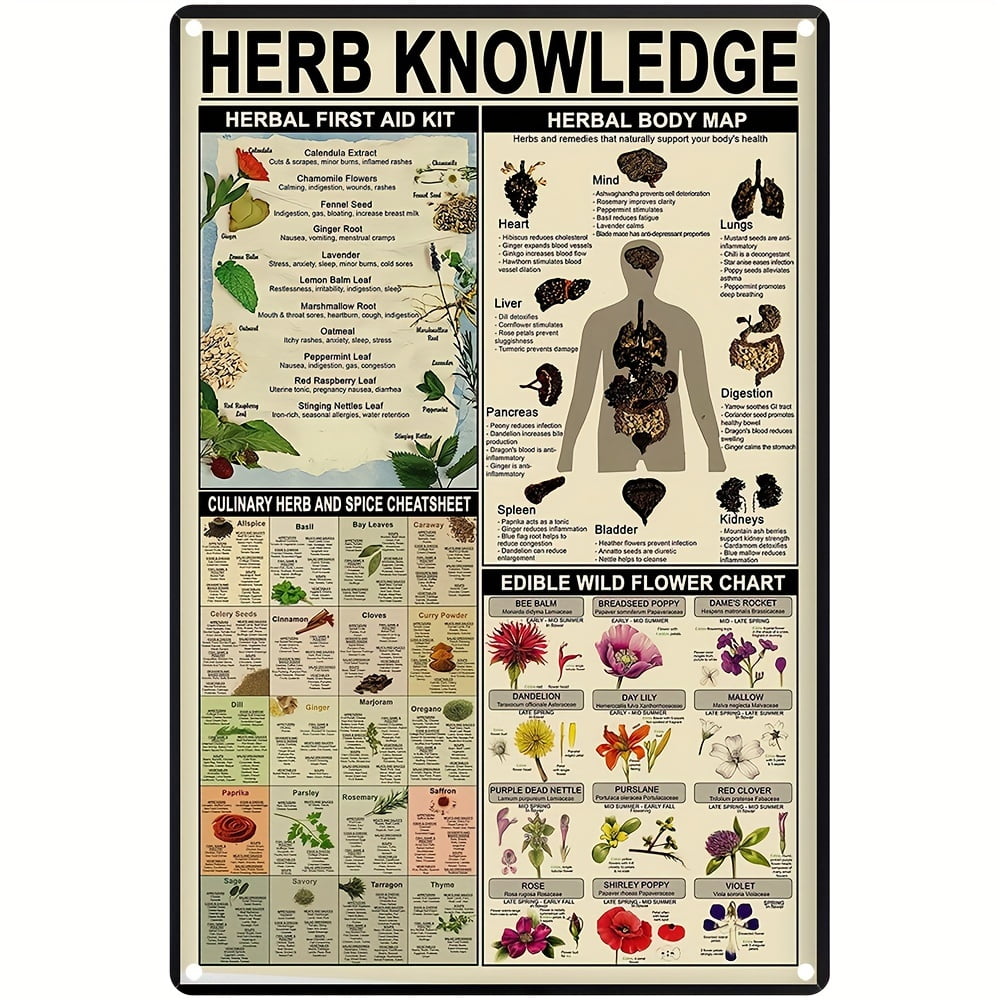 Herb Knowledge Aluminum Sign - Herbal First Aid Kit Infographic Poster ...