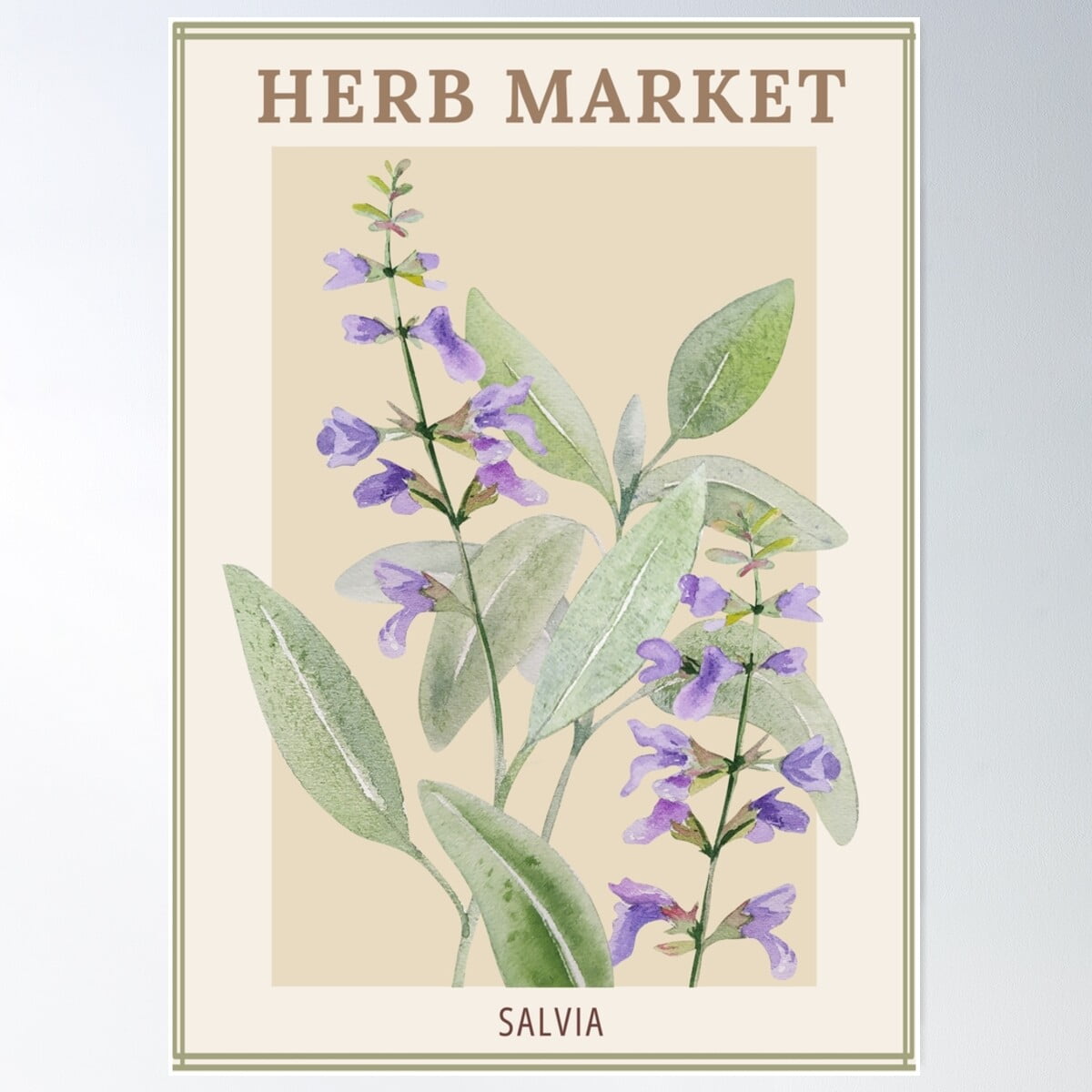 Herb Market Salvia, Botanical Herbs Poster Wall Art, Modern Wall Decor ...