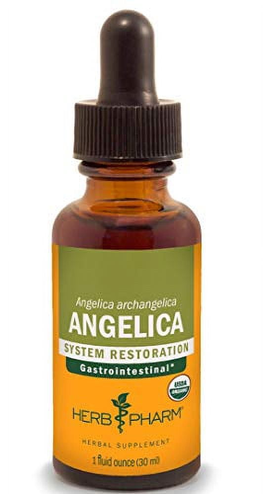 Herb Pharm Certified Organic Angelica Root Liquid Extract for Digestive ...