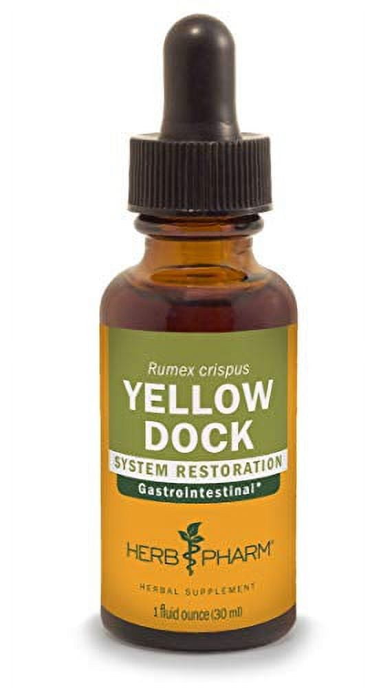Herb Pharm Yellow Dock Liquid Extract for Digestive System Support - 1 ...