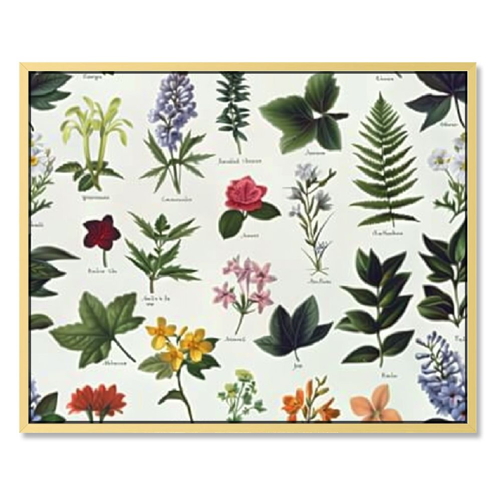 Herb Pictures for Kitchen Wall Art - Kitchen Herbs Wall Art and ...