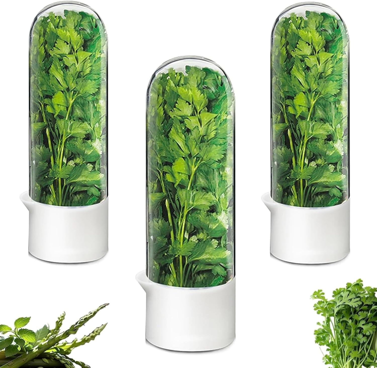 Herb Saver For Refrigerator, Herb Storage Container Cilantro Container ...