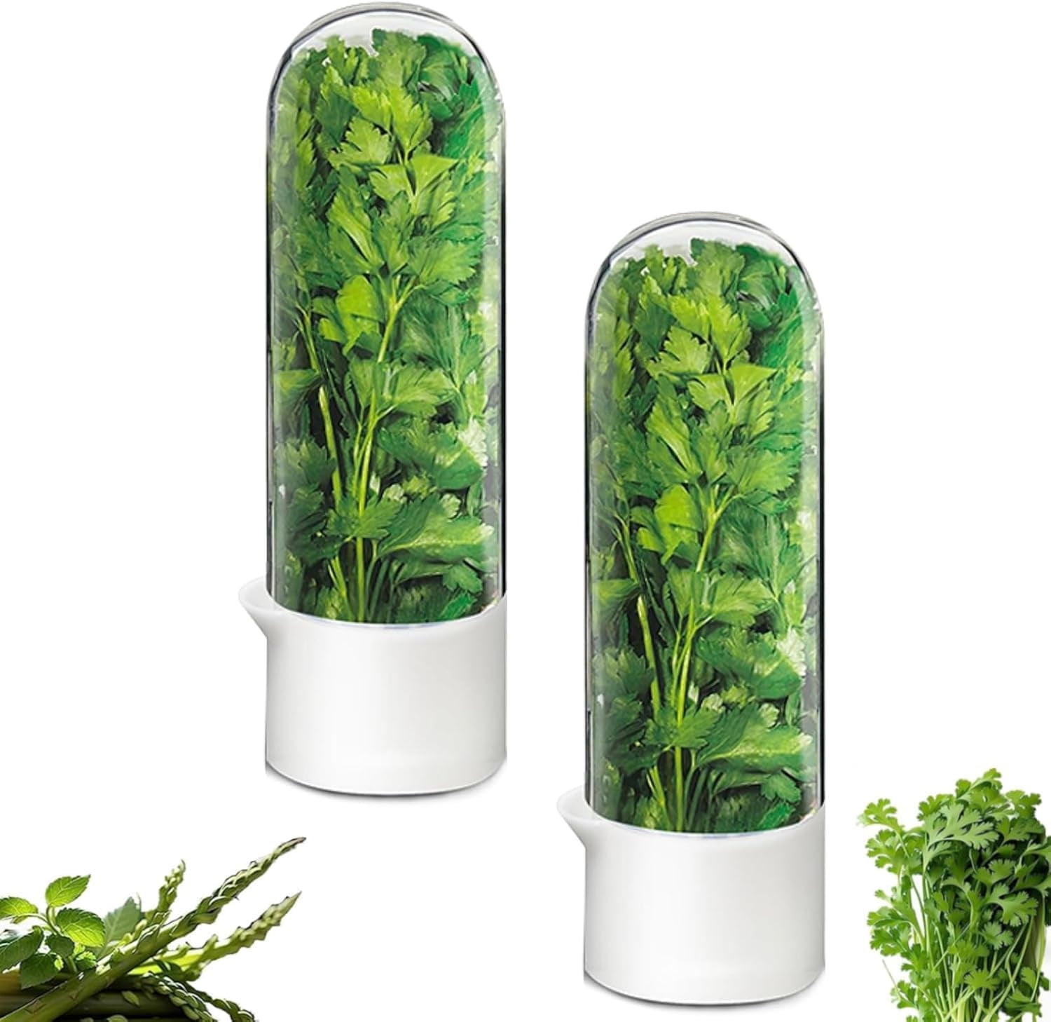 AQ Herb Saver for Refrigerator, Herb Storage Container Cilantro ...