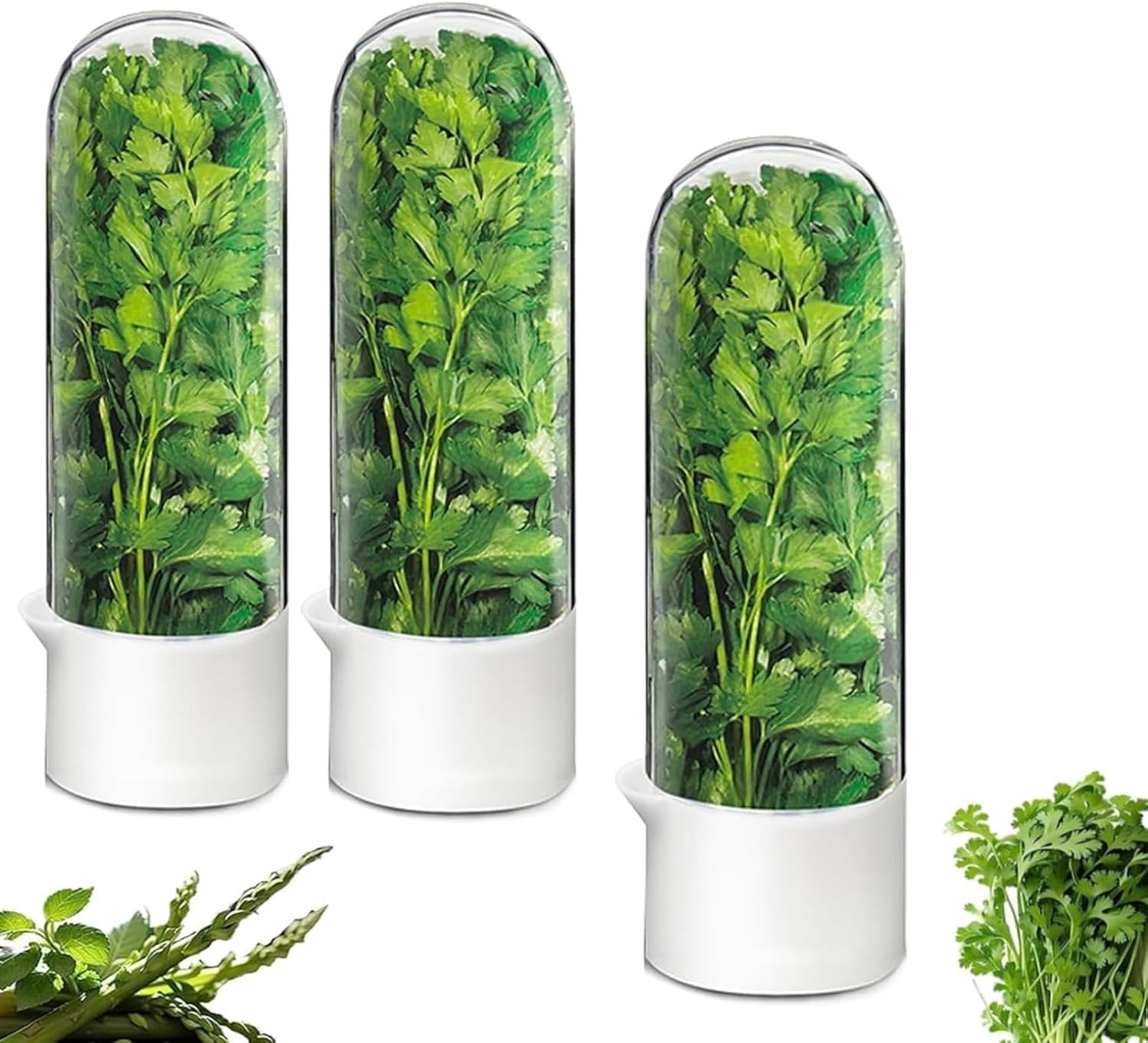 Herb Saver for Refrigerator, Herb Storage Container Cilantro Container ...