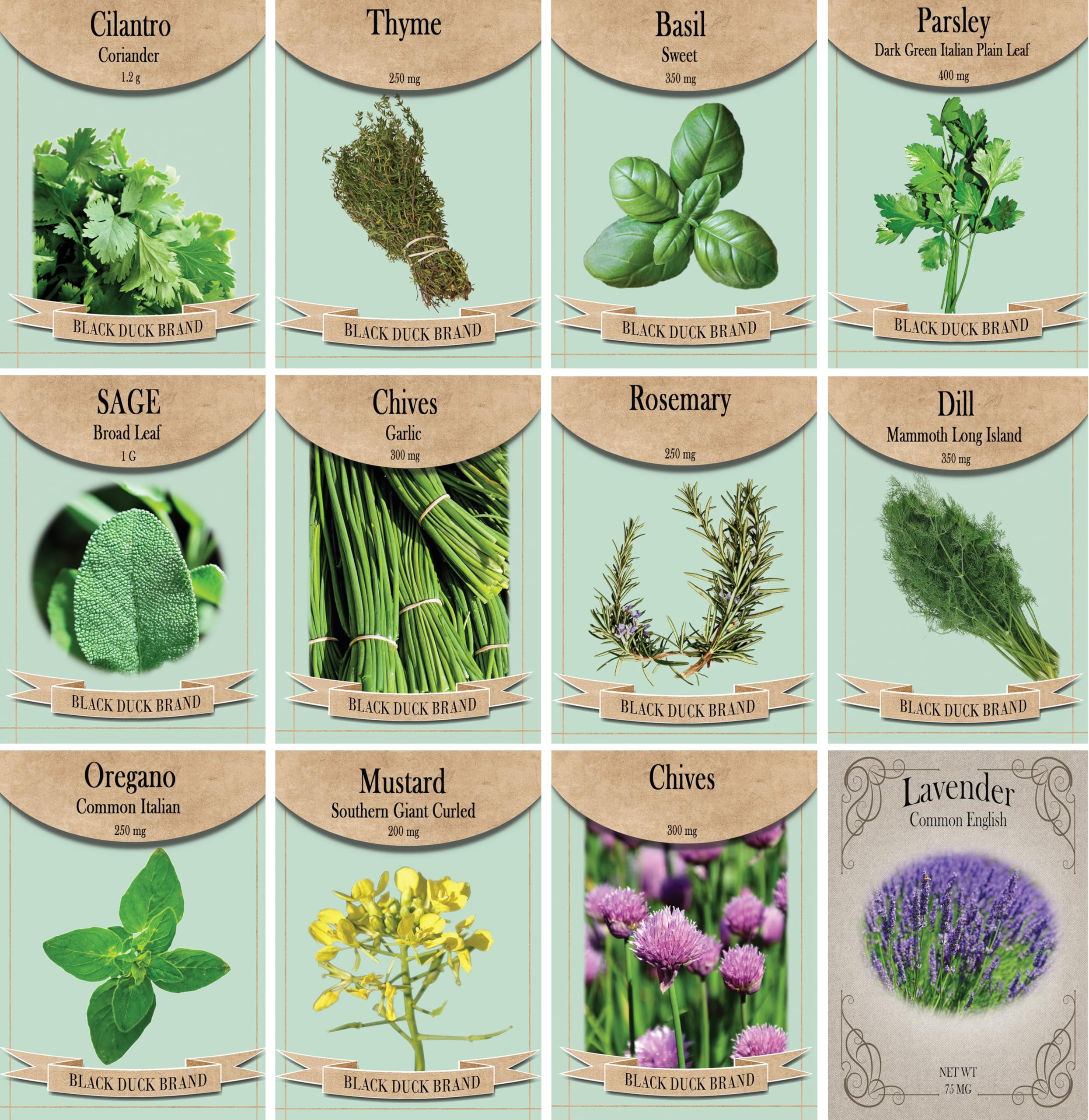 Herb Seed Pack TWE5 Collection - 12 Varieties Including Basil, Parsley ...