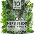 Herb Seeds | 10 Invidiual Packs SMR| 2025 Season | Non-GMO | Mint ...