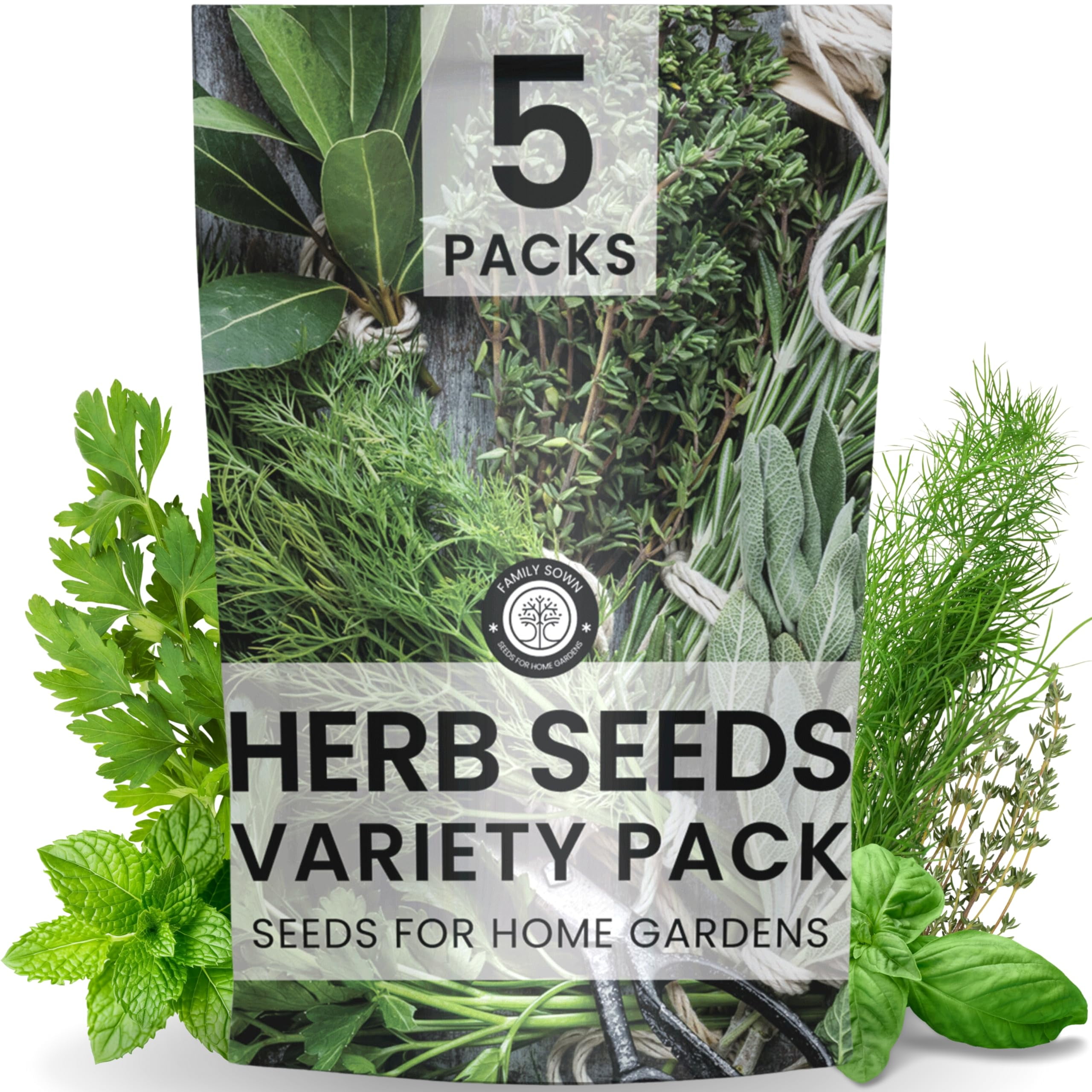 Herb Seeds | 5 Invidiual Packs MVR1 | 2025 Season | Non-GMO | Basil, Dill, Mint, Parsley & Thyme ...