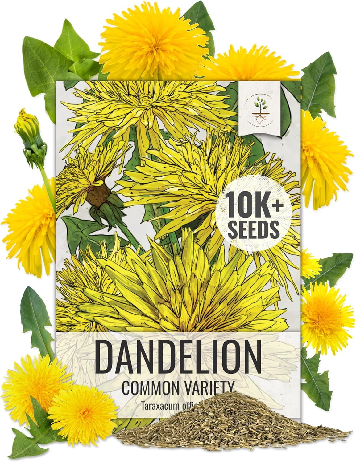 Herb Seeds Common Dandelion | Non GMO Heirloom Untreated Seeds | Bulk Dandelion Seeds for ...