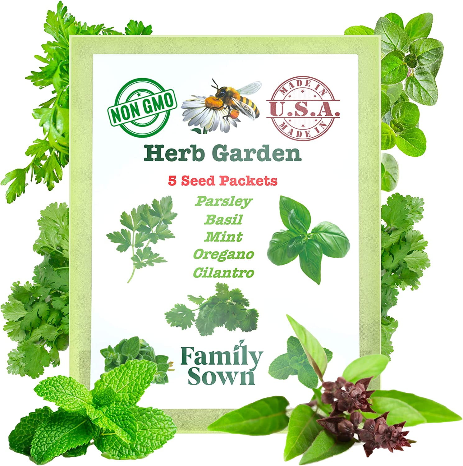 Herb Seeds Variety Pack by Family Sown - 5 Packets of Non GMO Heirloom ...
