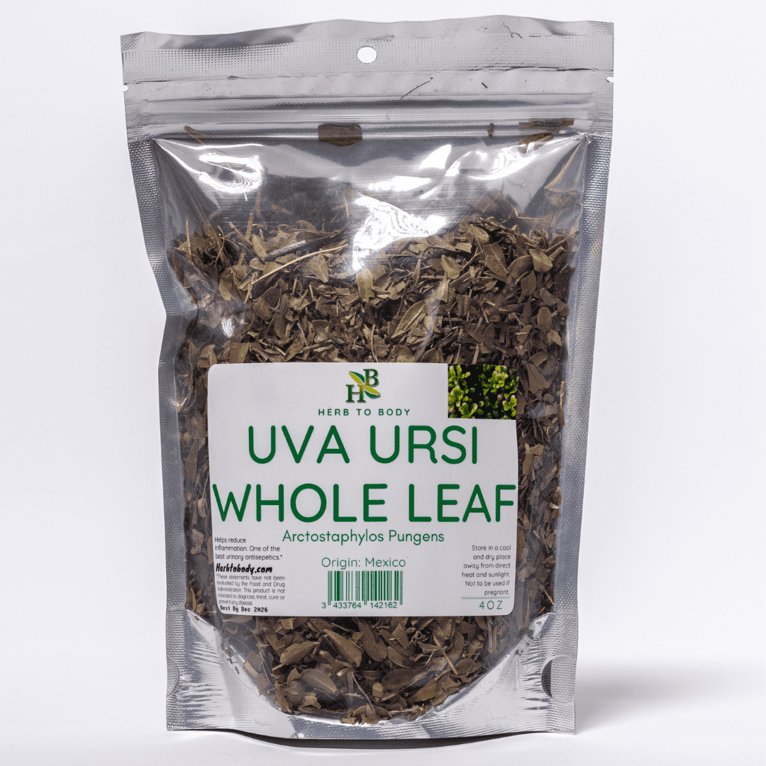 Herb To Body Uva Ursi Leaf Whole | Arctostaphylos Pungens | Wildcrafted ...