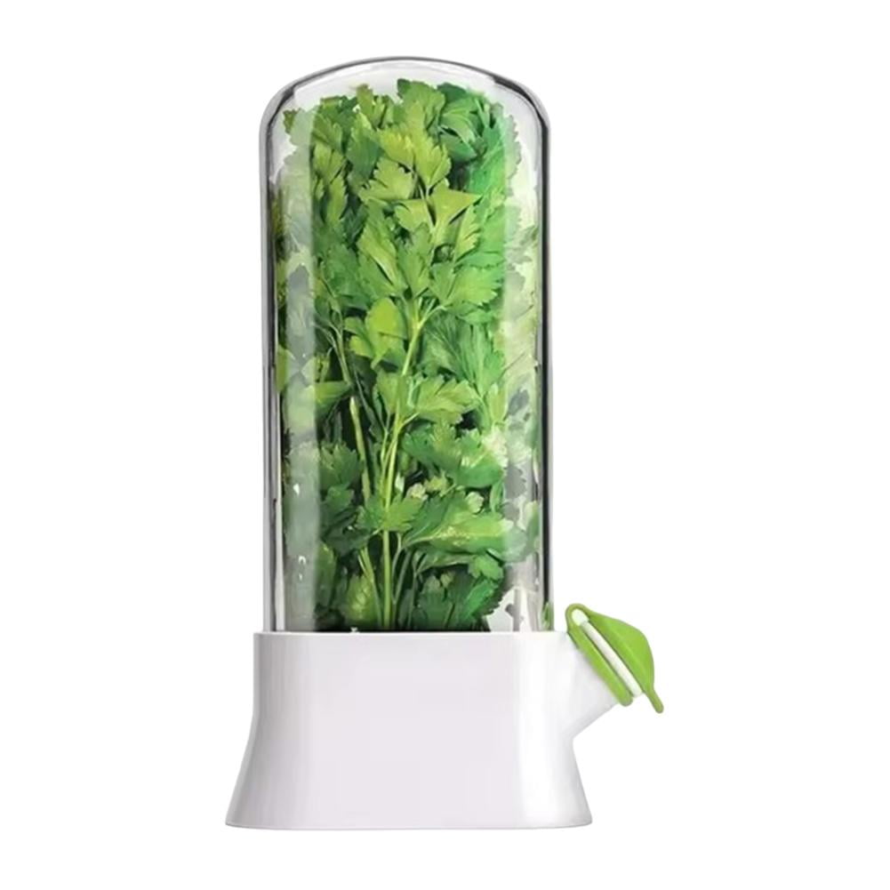 Herb and Vegetable Storage Box Keep Fresh Herb Keeper Container ...