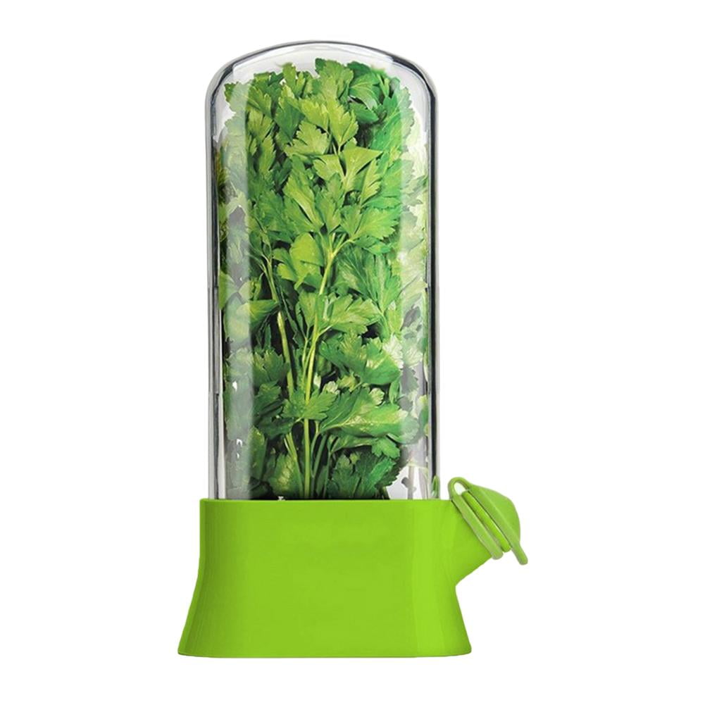 Herb and Vegetable Storage Box Keep Fresh Herb Keeper Storage Container ...