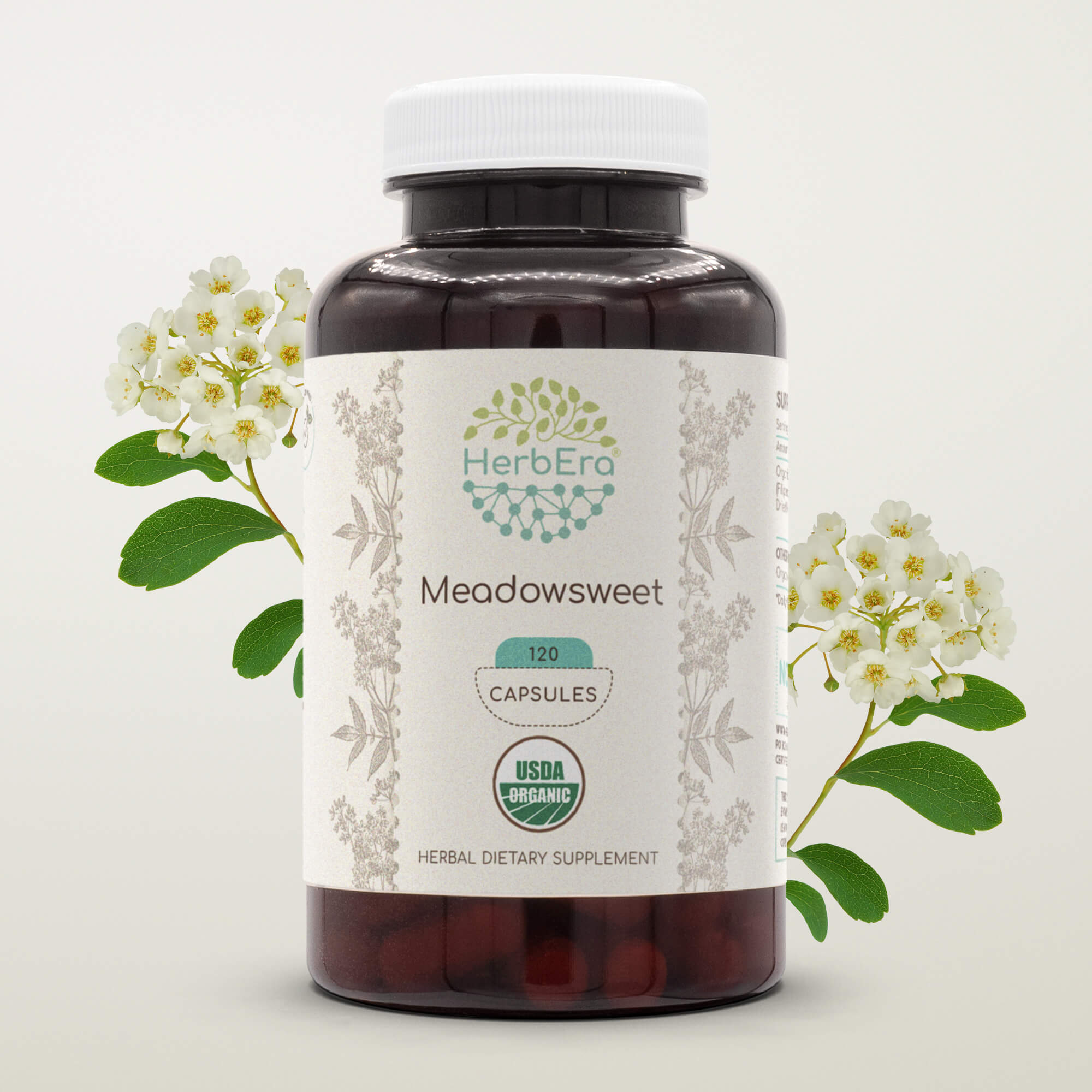 HerbEra Meadowsweet Capsules, Organic Herbal Dietary Supplement for ...