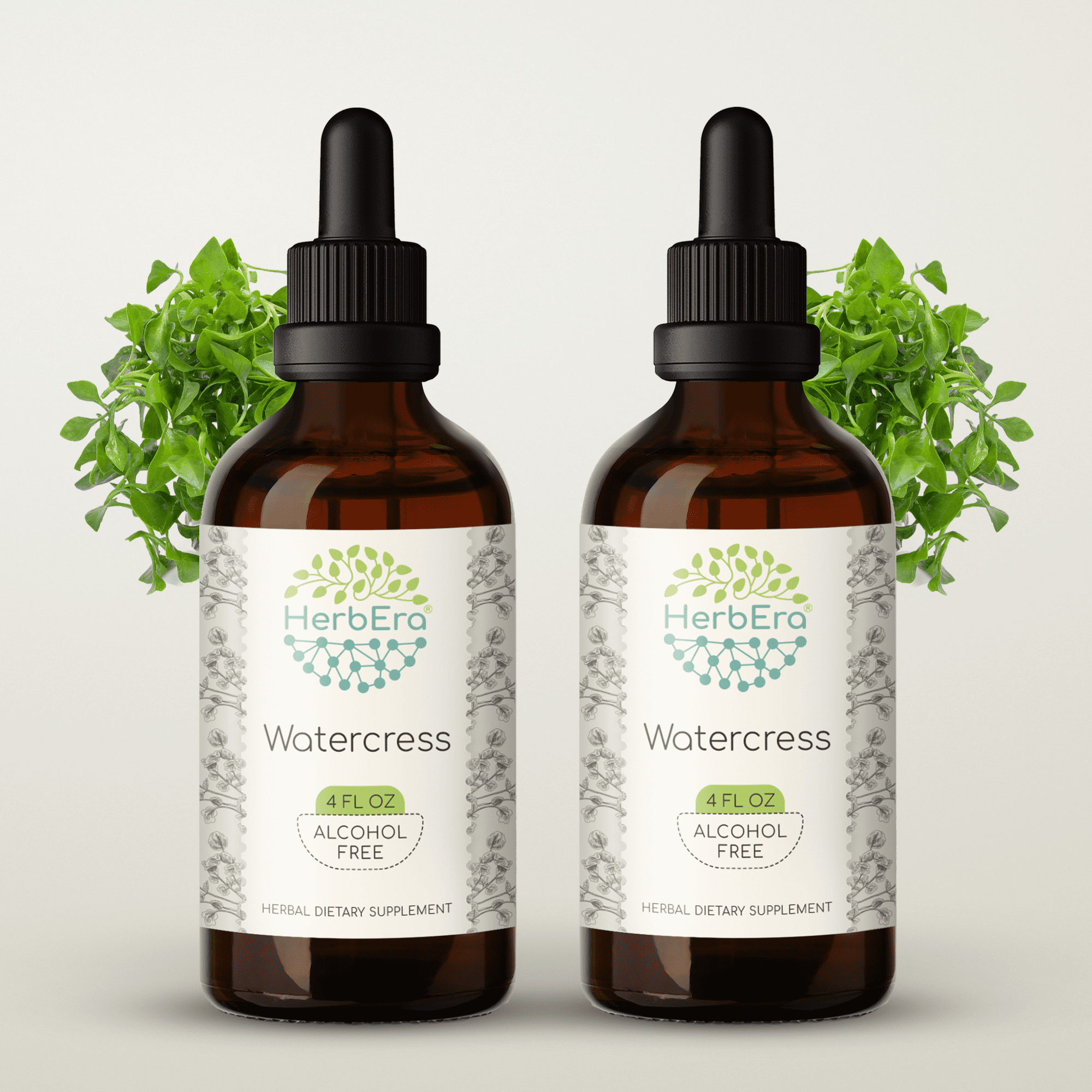 HerbEra Watercress Tincture, Herbal Dietary Supplement for Antioxidant ...