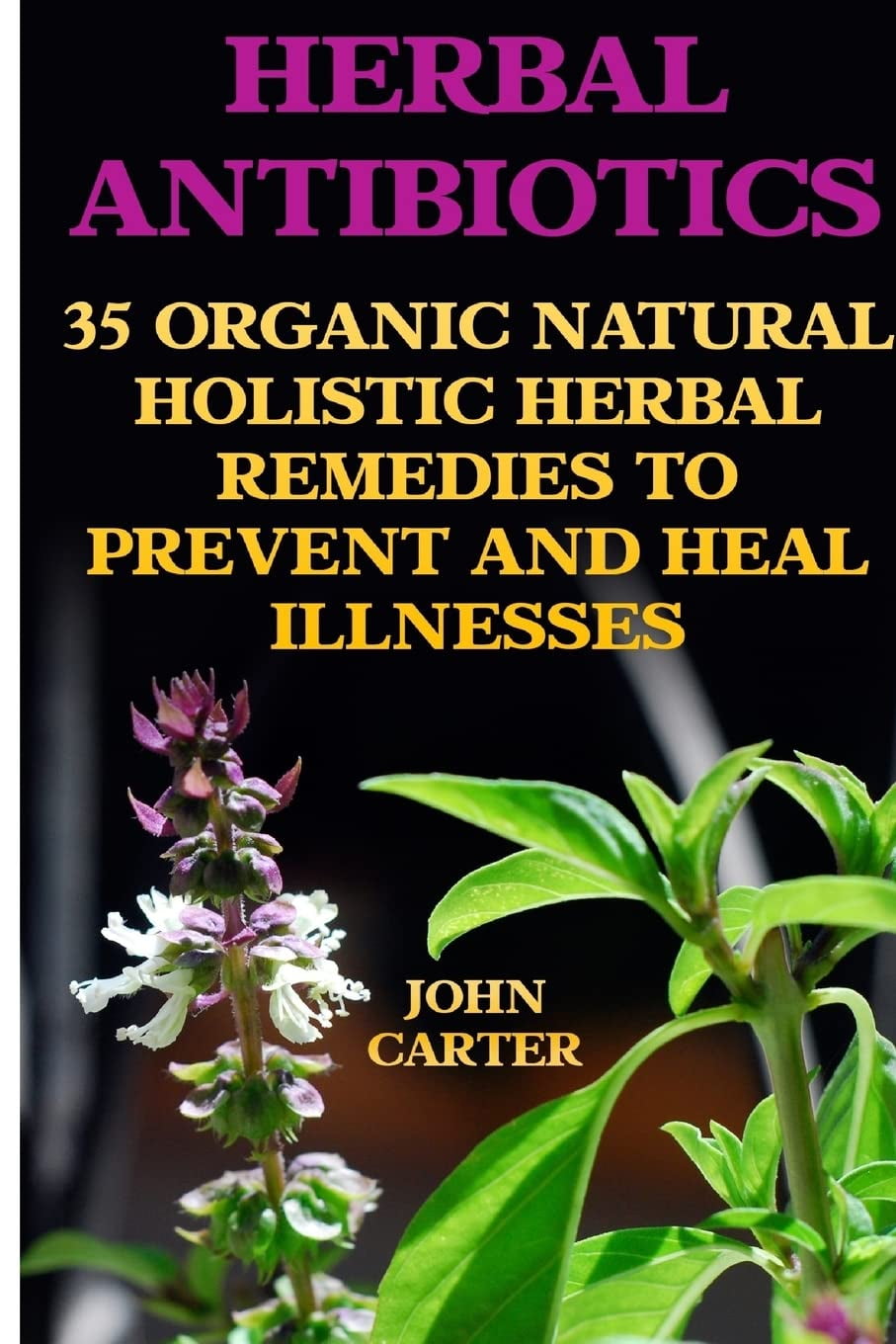 Herbal Antibiotics: 35 Organic Natural Holistic Herbal Remedies to ...