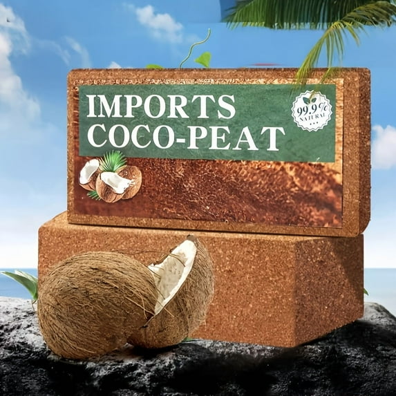 [Herbal Cocoa Coconut Shells] 24 Coconut Shell Bricks - Cocoa Coconut ...