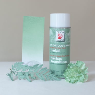 Design Master 676 Basil Colortool Spray - Walmart.com