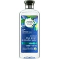 Herbal Essences Bio:Renew Blue Ginger Shampoo, Refresh & Volumize, 13.5 ...