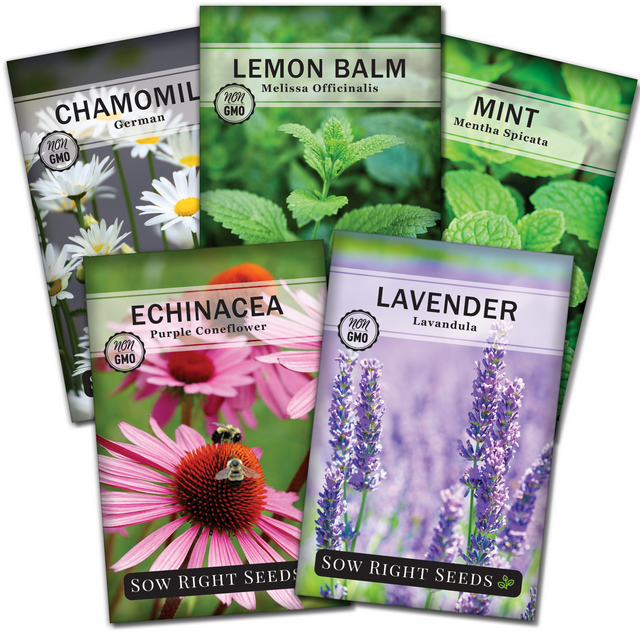 Herbal Tea Garden Seed Collection - Non GMO Varieties - 5 Count ...