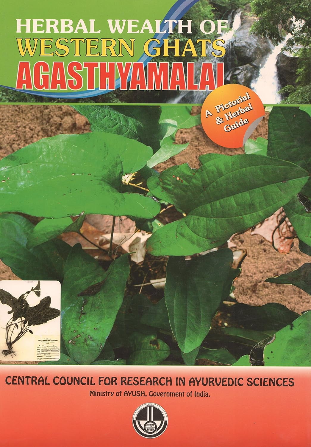 Herbal Wealth of Western Ghats Agasthyamalai: A Pictorial & Herbal ...